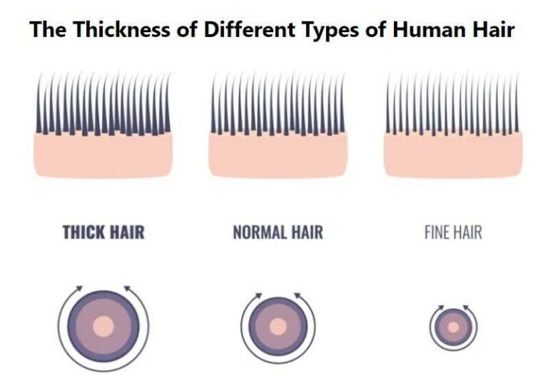 All About Thickness Of Human Hair You Need To Know