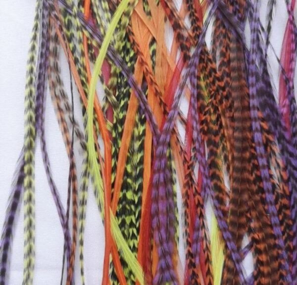 Everything About Feather Hair Attachments